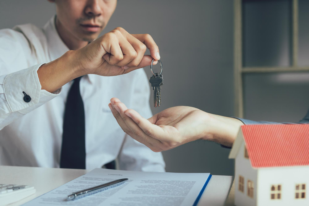 Renting vs. Buying: Why Properties for Rent in Ajman Are Attractive ...